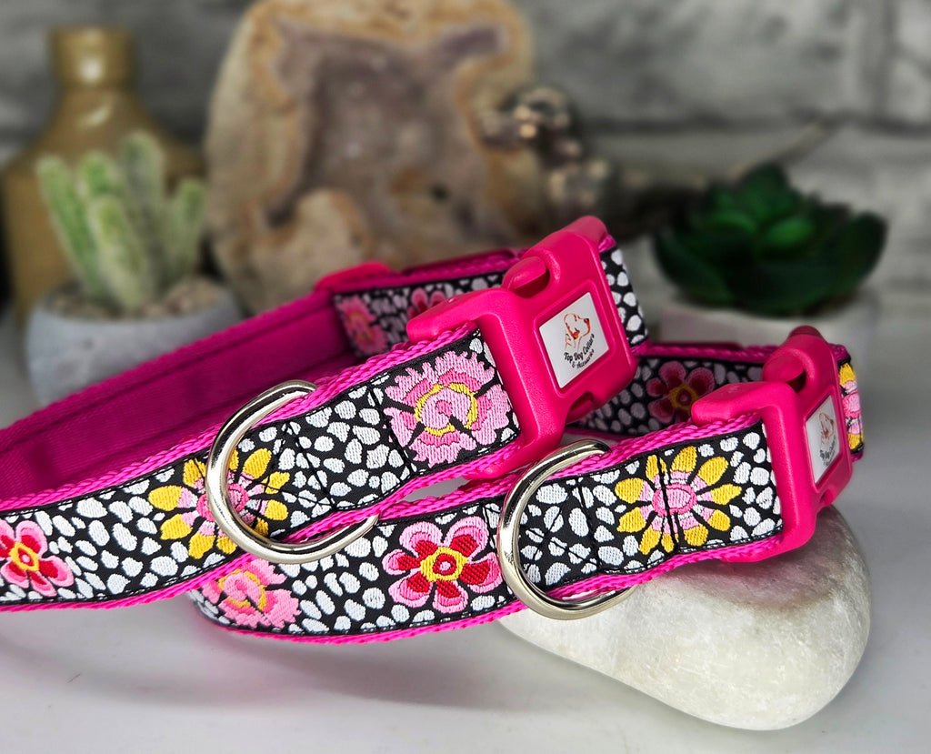 Gina – Top Dog Collars & Accessories