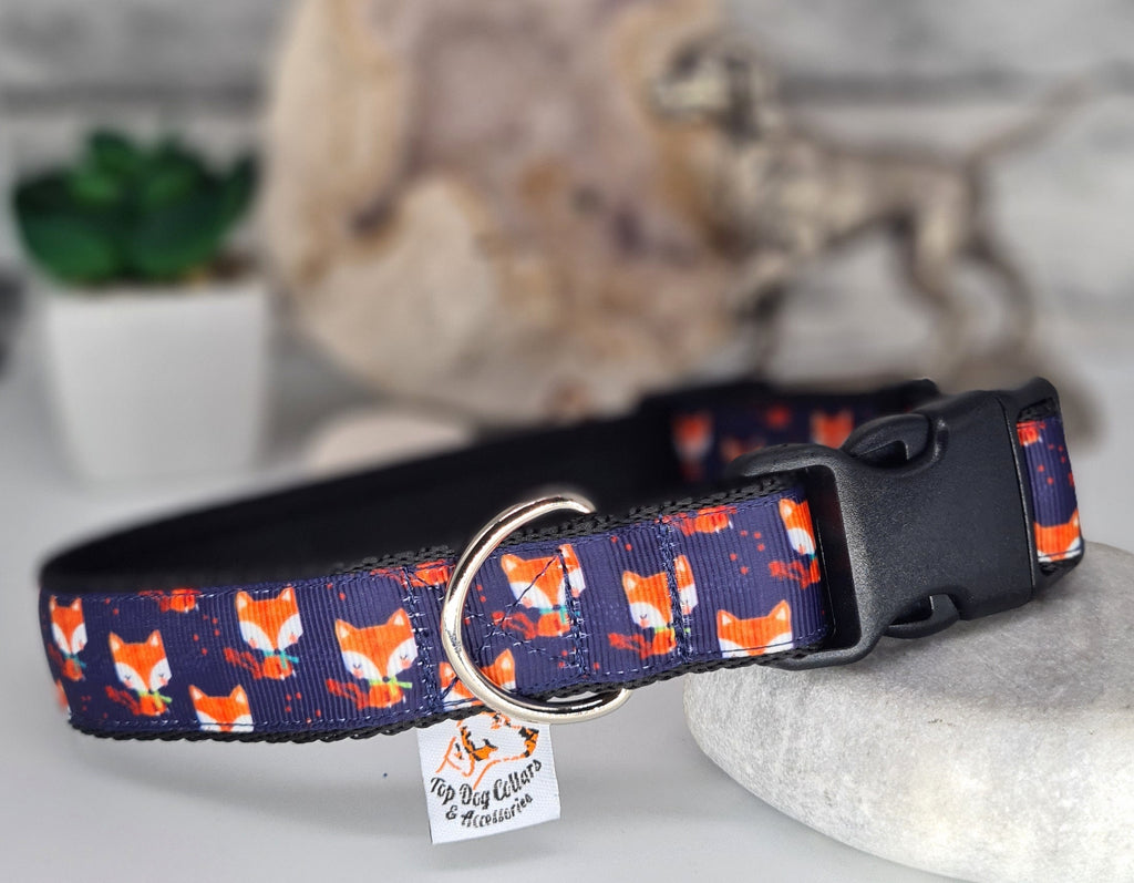 Mr Fox Blue – Top Dog Collars & Accessories