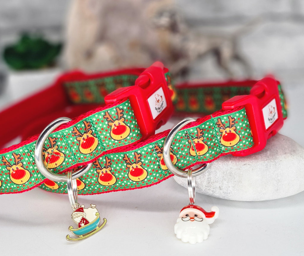 Red Nose Reindeer – Top Dog Collars & Accessories