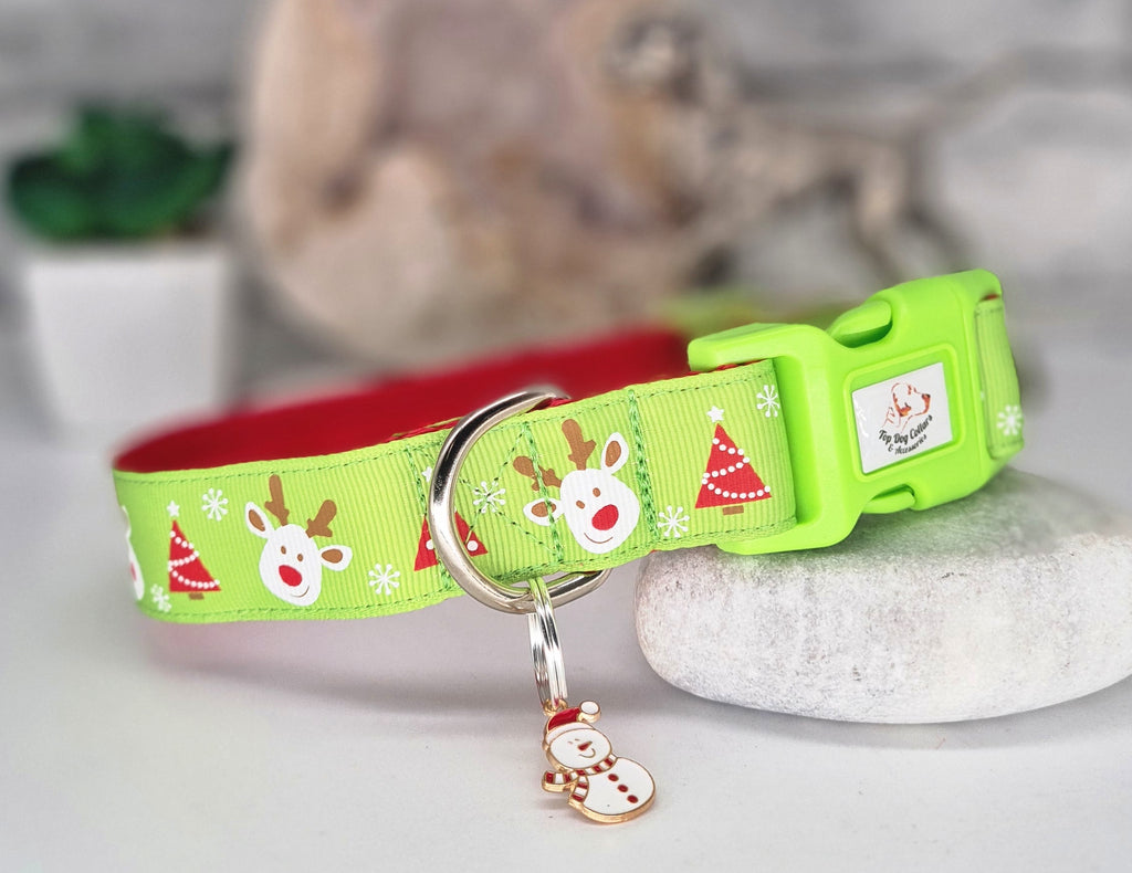 Reindeer Bright – Top Dog Collars & Accessories