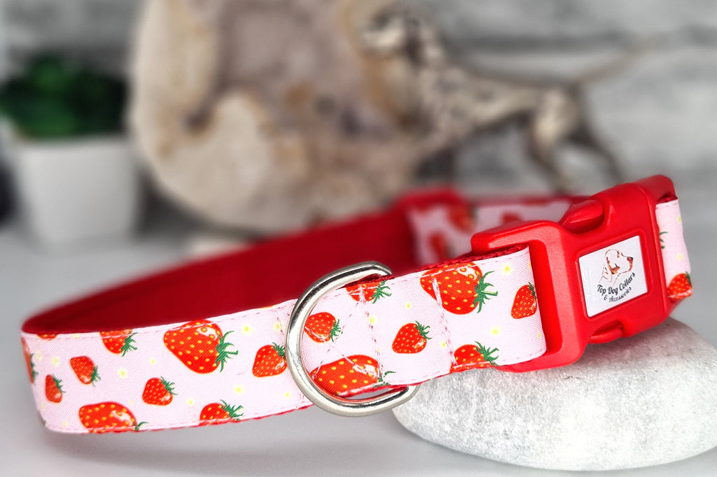 Strawberries 1" & 1.5" – Top Dog Collars & Accessories