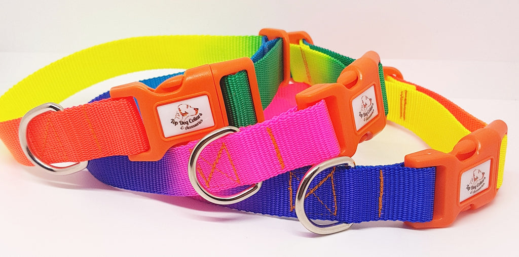 Rainbow webbing dog collars & Leads – Top Dog Collars & Accessories