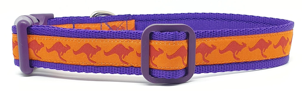 Kangaroo Themed Dog Collars & Leads – Top Dog Collars & Accessories